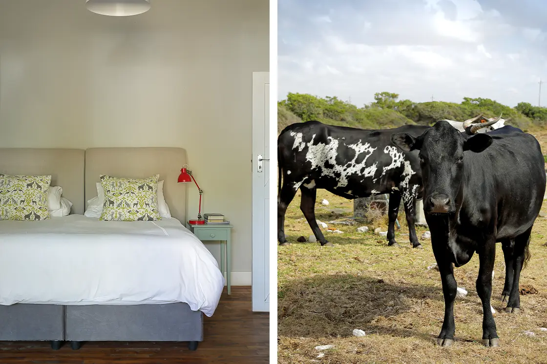 Inhoek Farm | Perfect Hideaways Real Estate